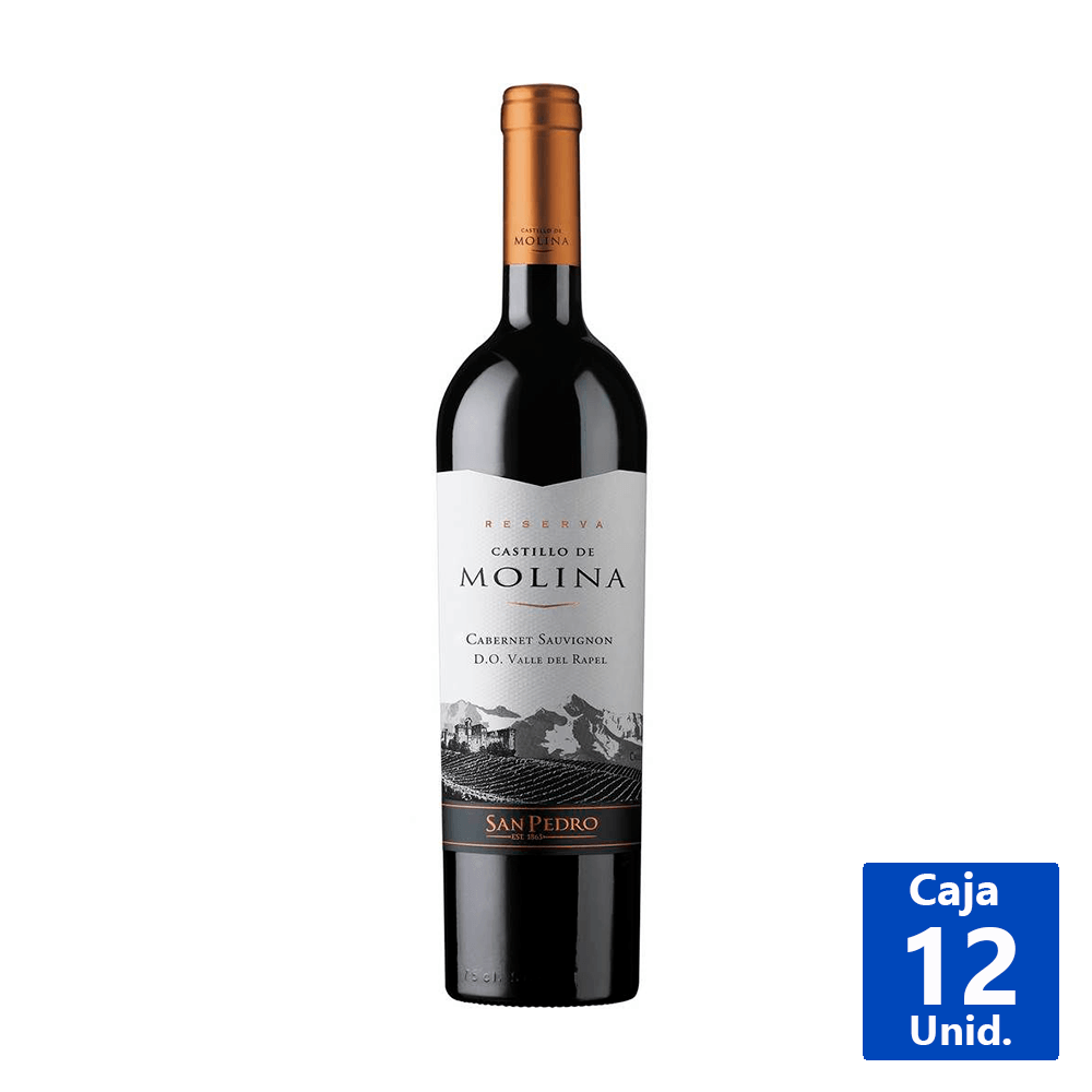 VINO CABERNET GRAN RESERVA 14° 750ML - Dimak Online